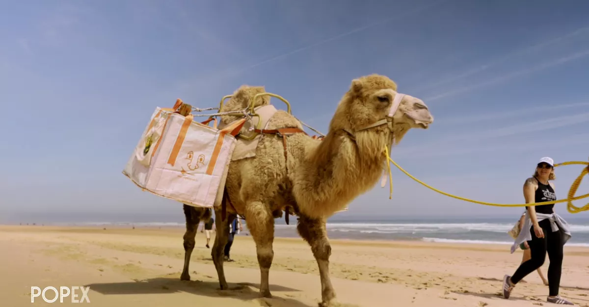 POPEX | FranceTvPro.fr